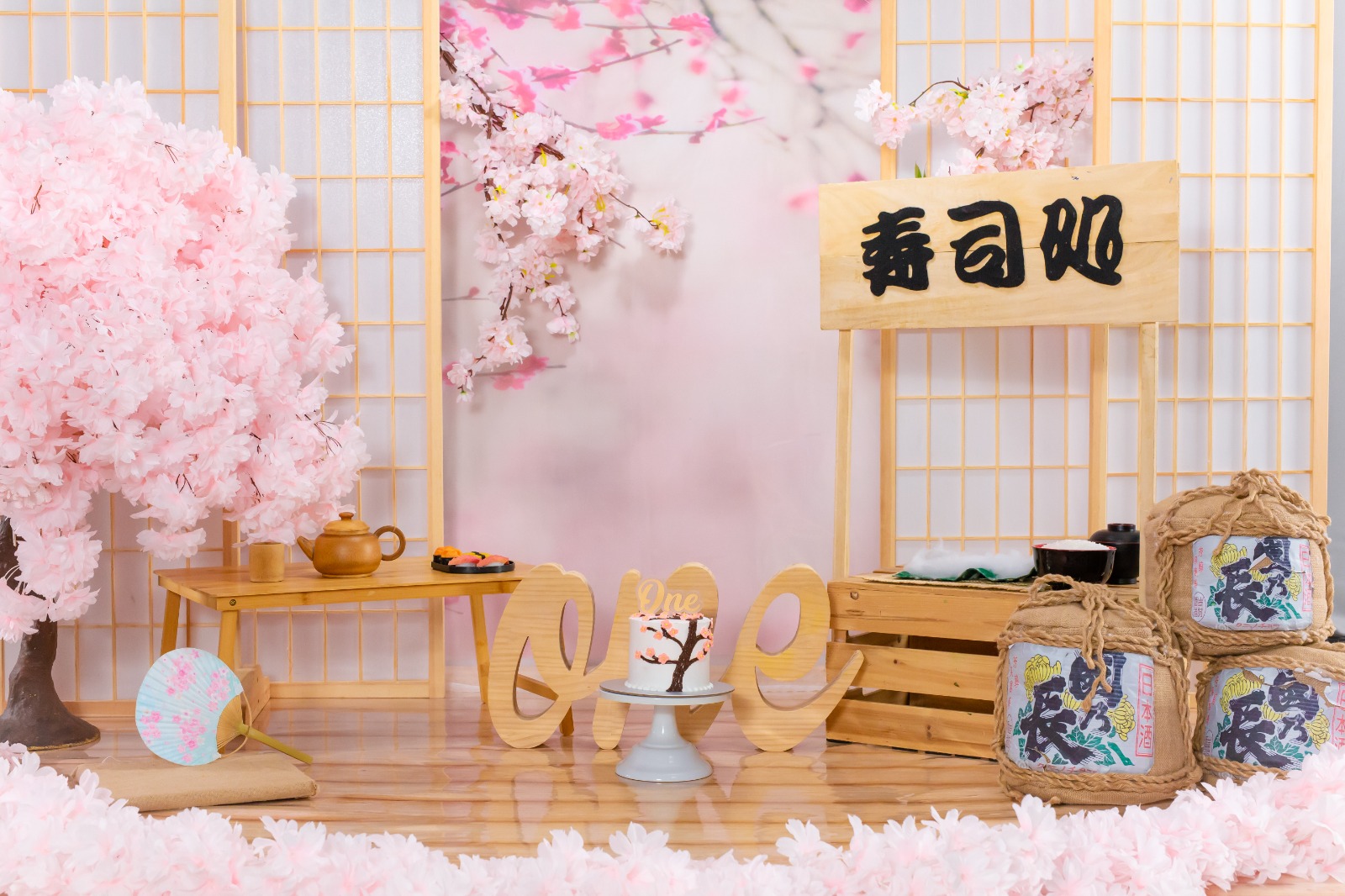 Baby Theme Photoshoot Setup | Tinytodds